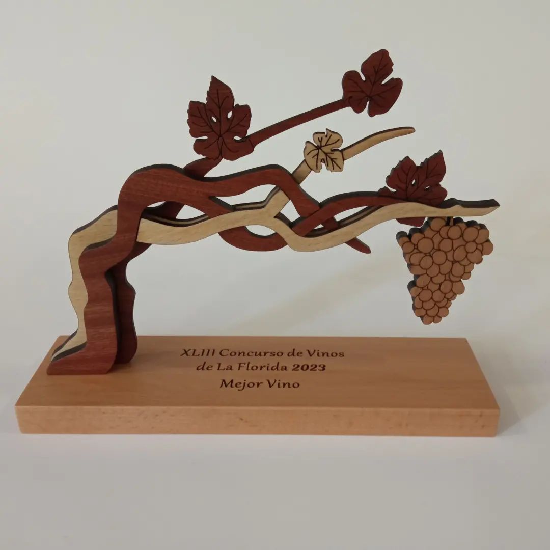 Trofeo hecho en madera - Volcanary